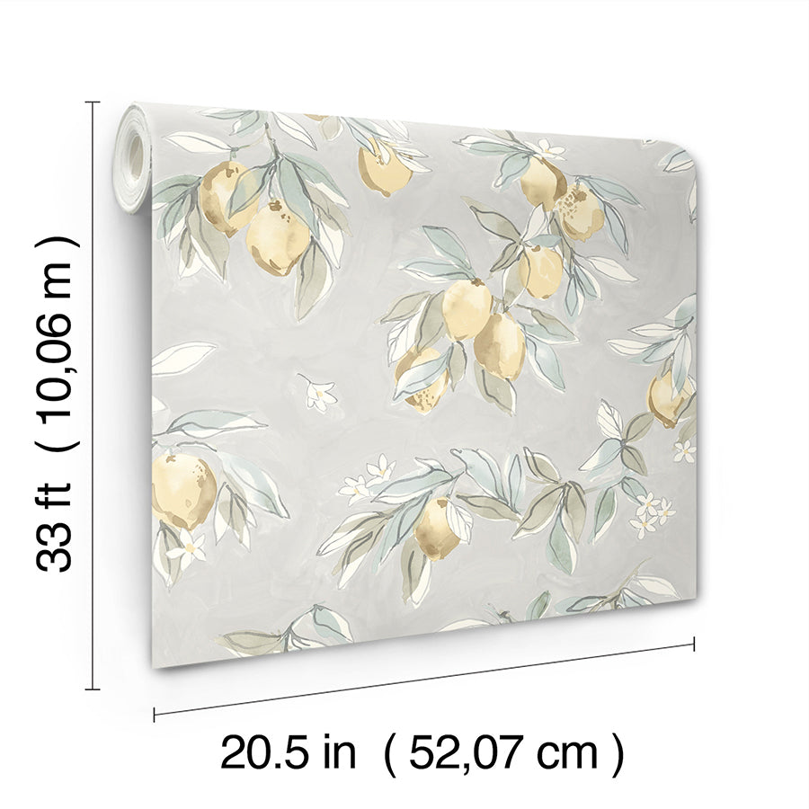 4134-72509 Lemonade Grey Citrus Wallpaper – wallcoveringsmart
