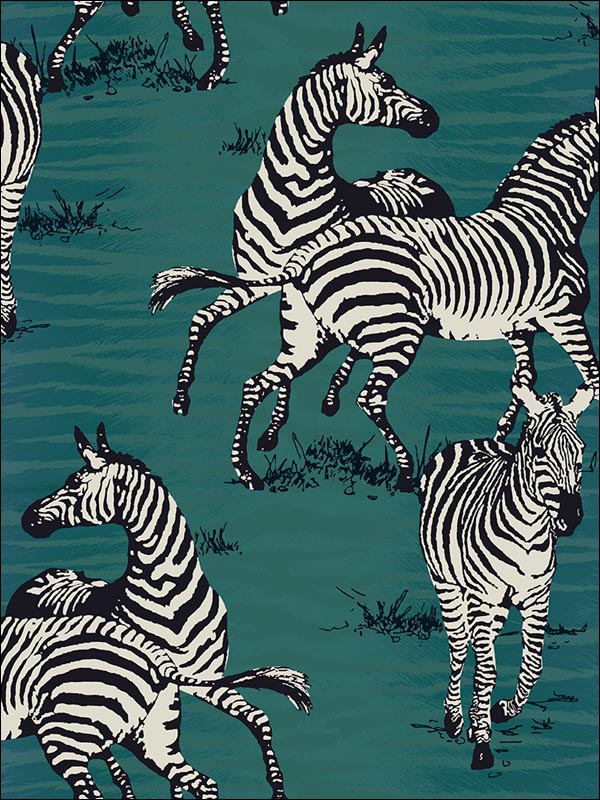 Cartoon Zebra Wallpaper