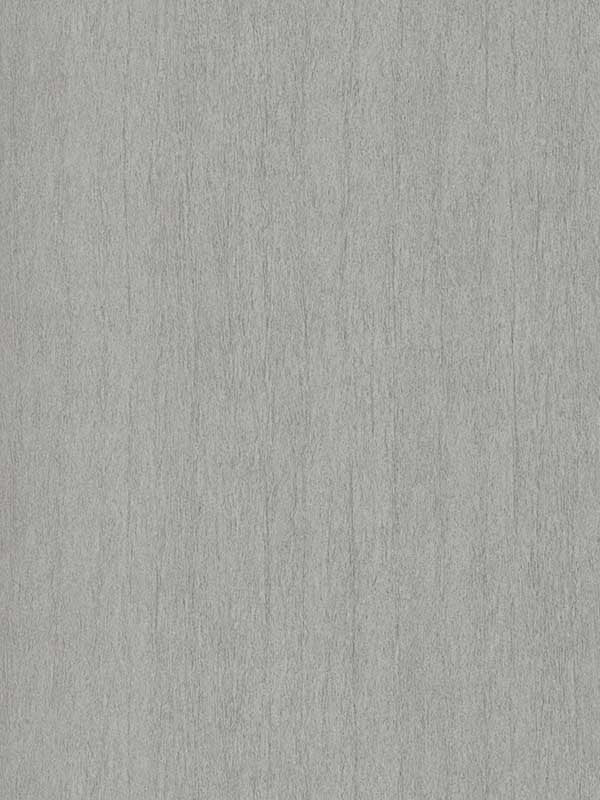 Gray Natural Texture