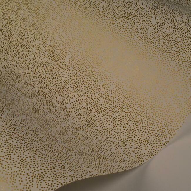 RI5112 Champagne Dots Wallpaper Rifle Paper Co. – wallcoveringsmart