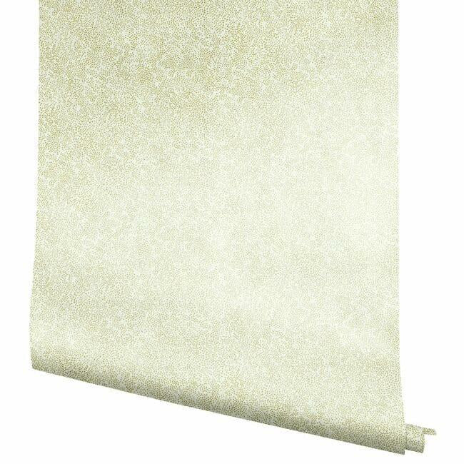 RI5112 Champagne Dots Wallpaper Rifle Paper Co. – wallcoveringsmart